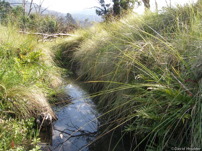 Alpine loop [davidhoulder.com]