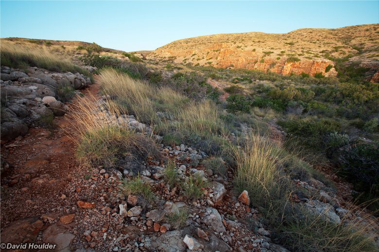 Ningaloo and Pilbara Coast [davidhoulder.com]