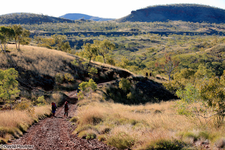 Munjina to Bee Gorge [davidhoulder.com]