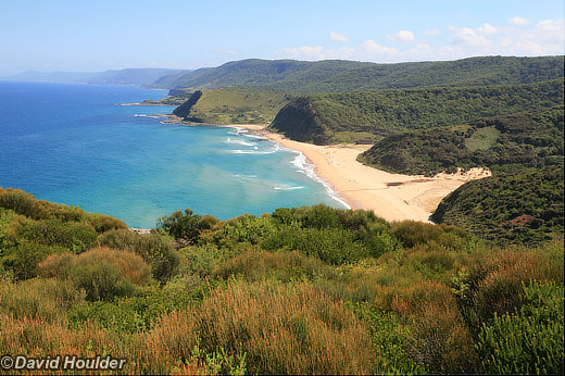 Royal National Park coast walk [davidhoulder.com]