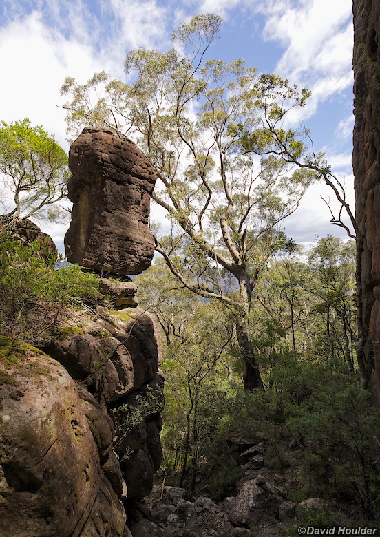 Nerriga to Hollands Gorge via Folly Point and return [davidhoulder.com]